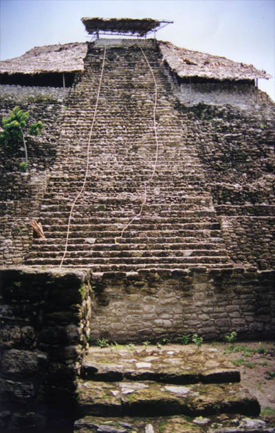 The Mayan Rainforest Photo Gallery